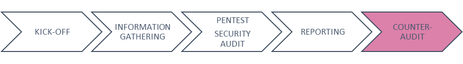 Penetration Test | Ziwit Consultancy Services